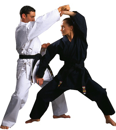 WARRIOR - Meijin Gold Label Karate Gi/Uniform